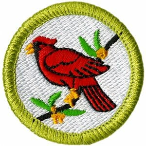 Scouts | Dunwoody Nature Center | Workshops and Dates